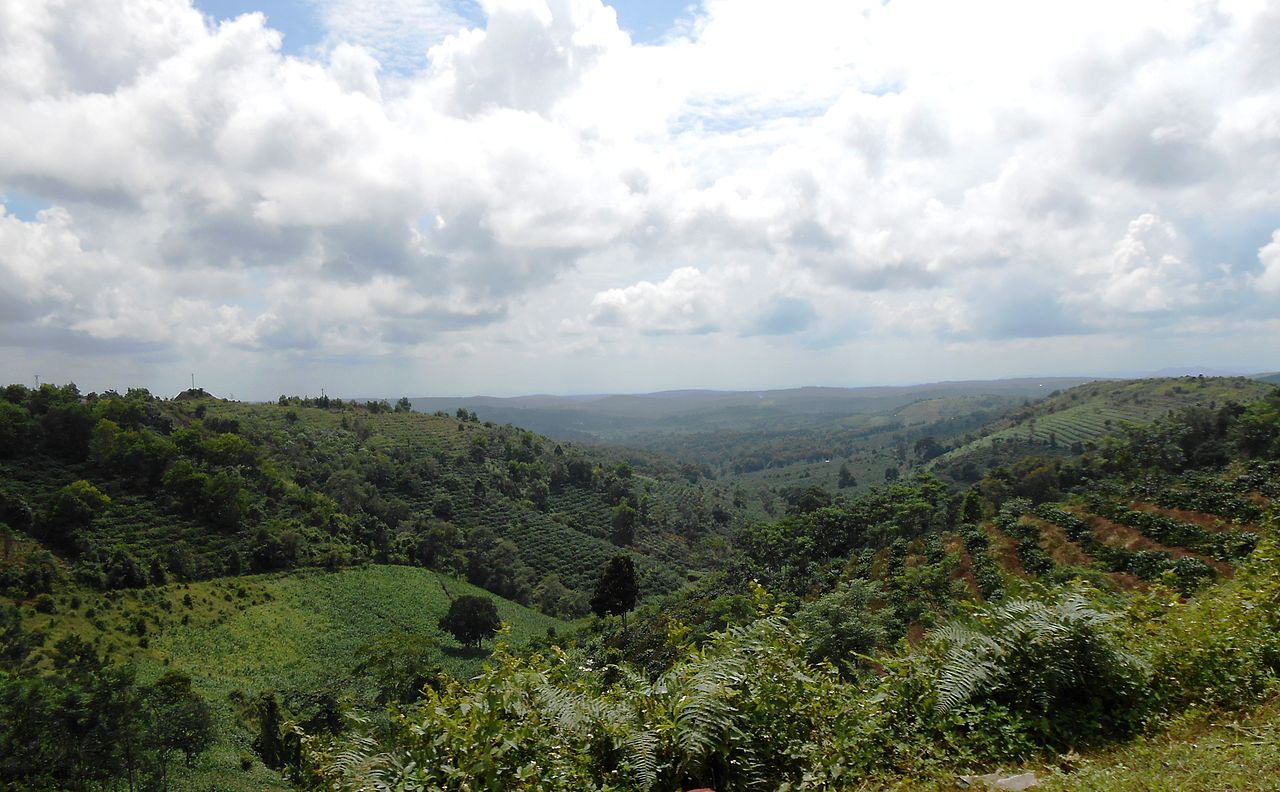Some Popular Tourist Attraction In Dak Lak - Vietnam Discovery Travel