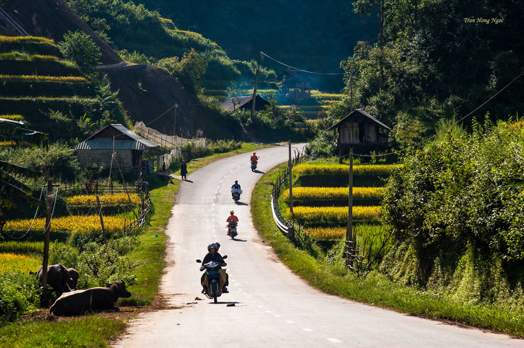The-Unmistakable-Beauty-Of-The-Mu-Cang-Chai-Hanoi Journey-4 - Vietnam ...